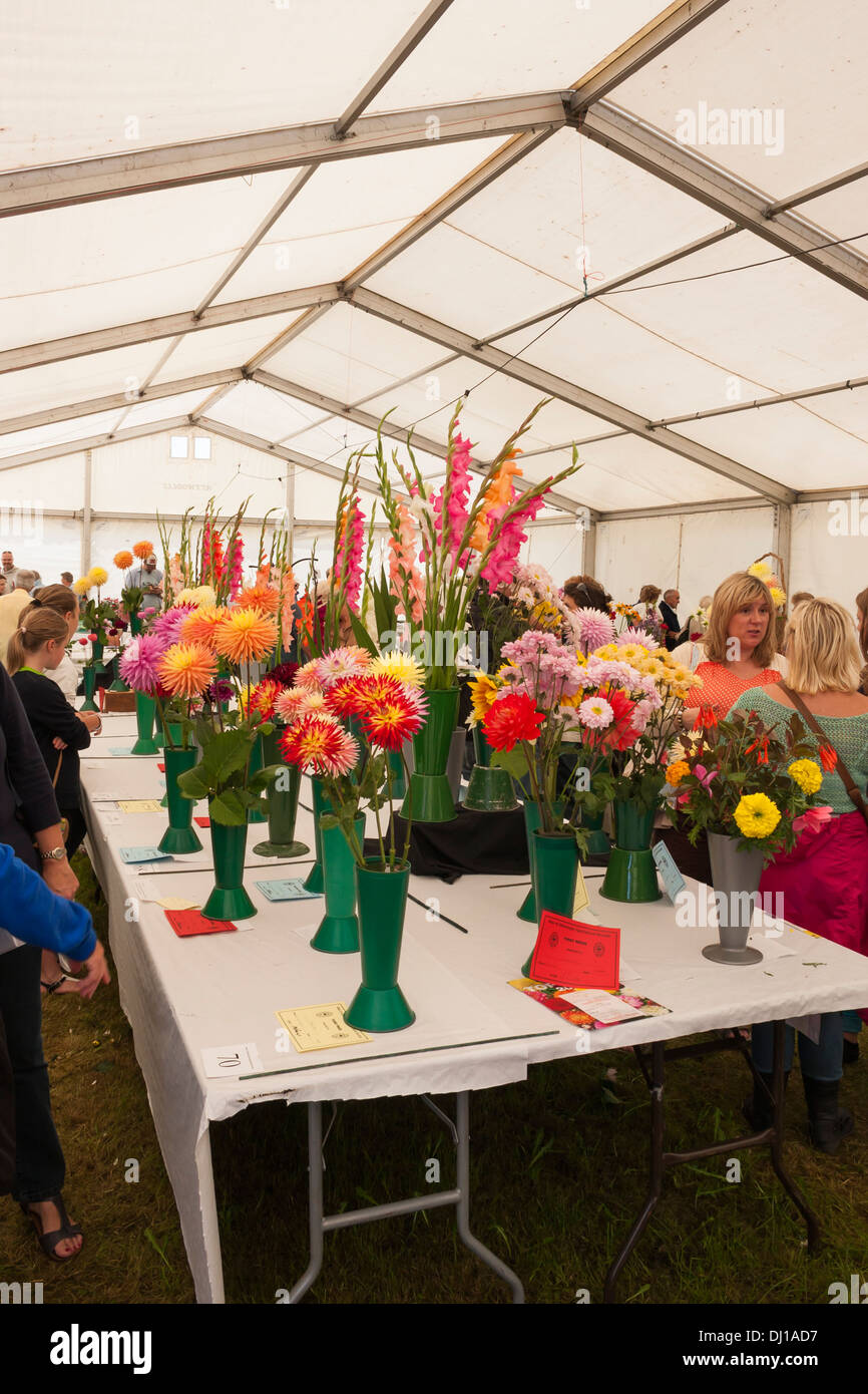 Prize display hi-res stock photography and images - Alamy