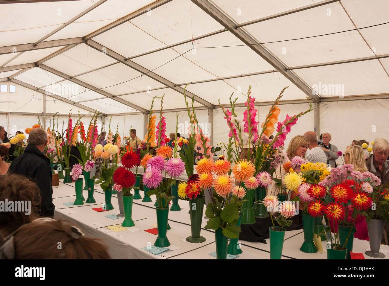 Flower display at show Stock Photo - Alamy