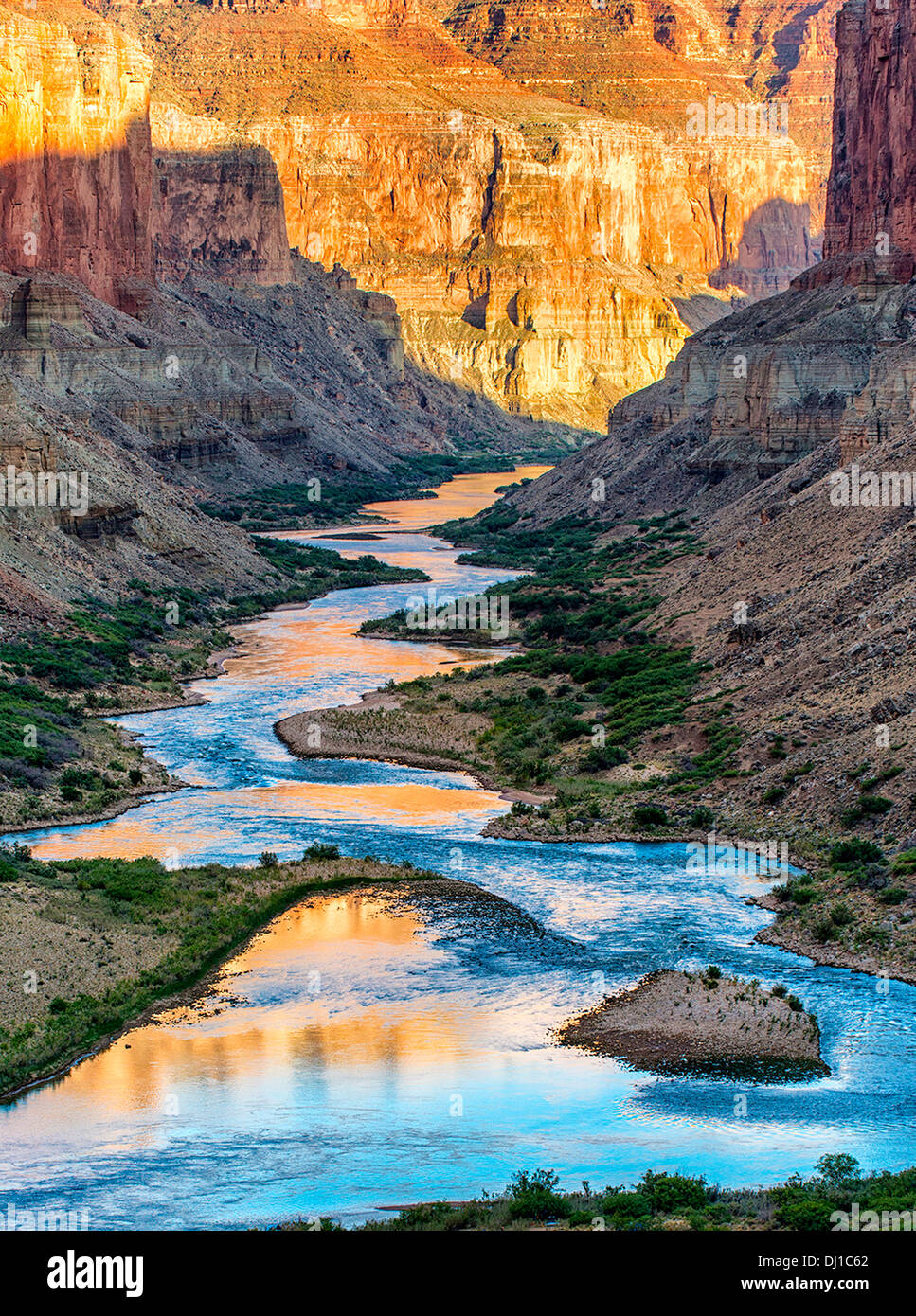 Colorado River Through the Grand Canyon from Nankoweap Trail Stock ...