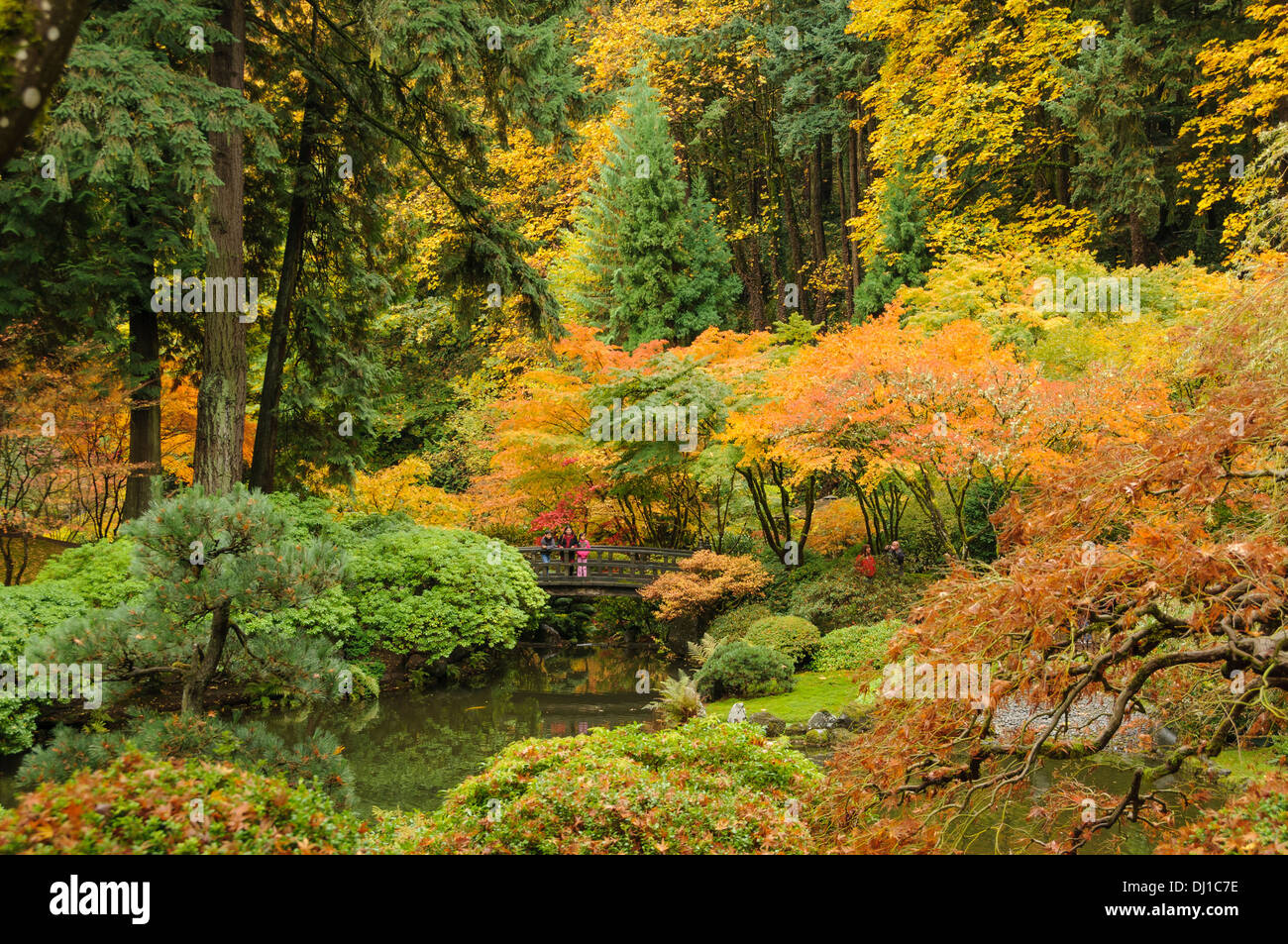 Portland japanese garden hi-res stock photography and images - Alamy