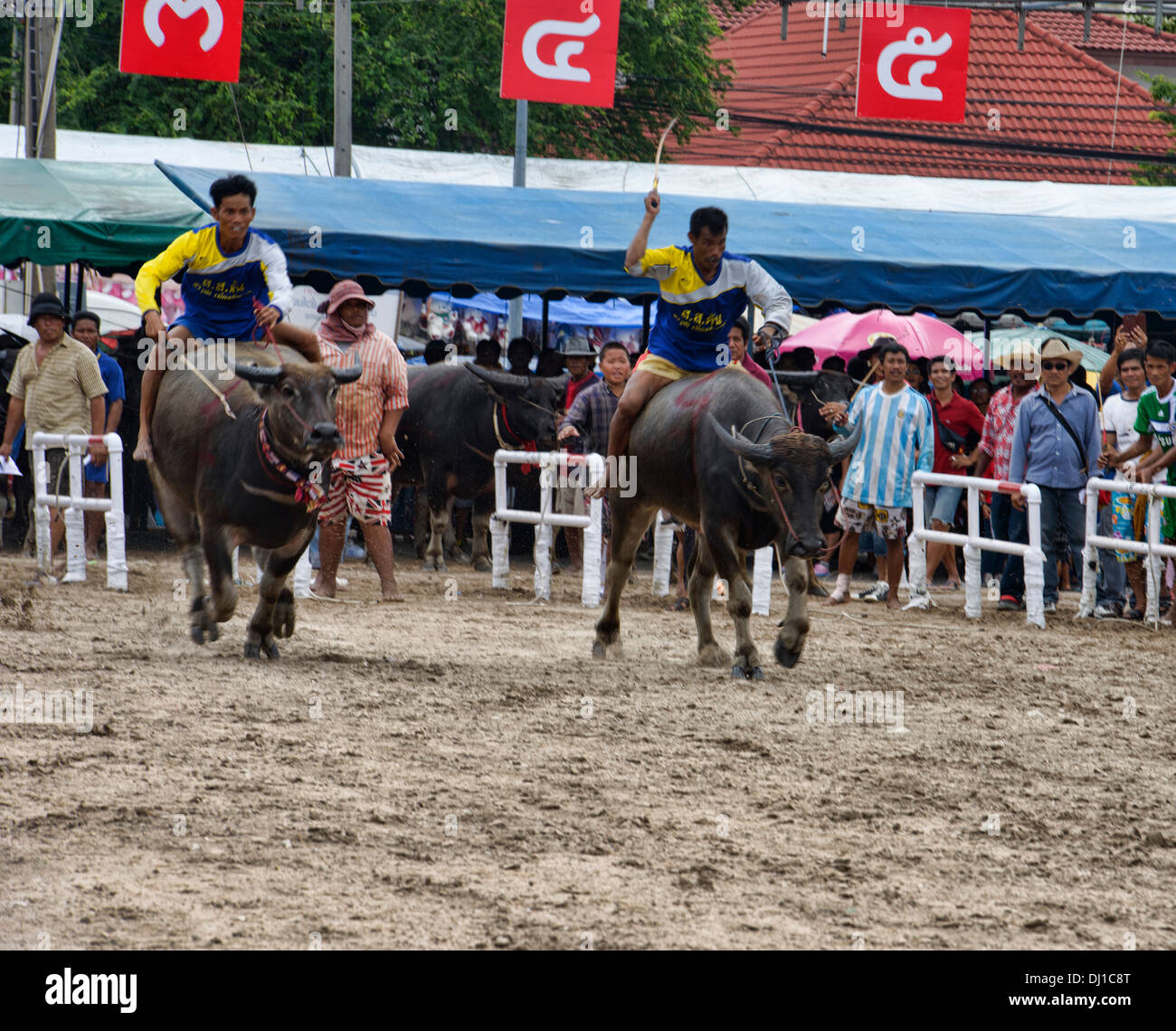 Buffalo race hi-res stock photography and images - Alamy