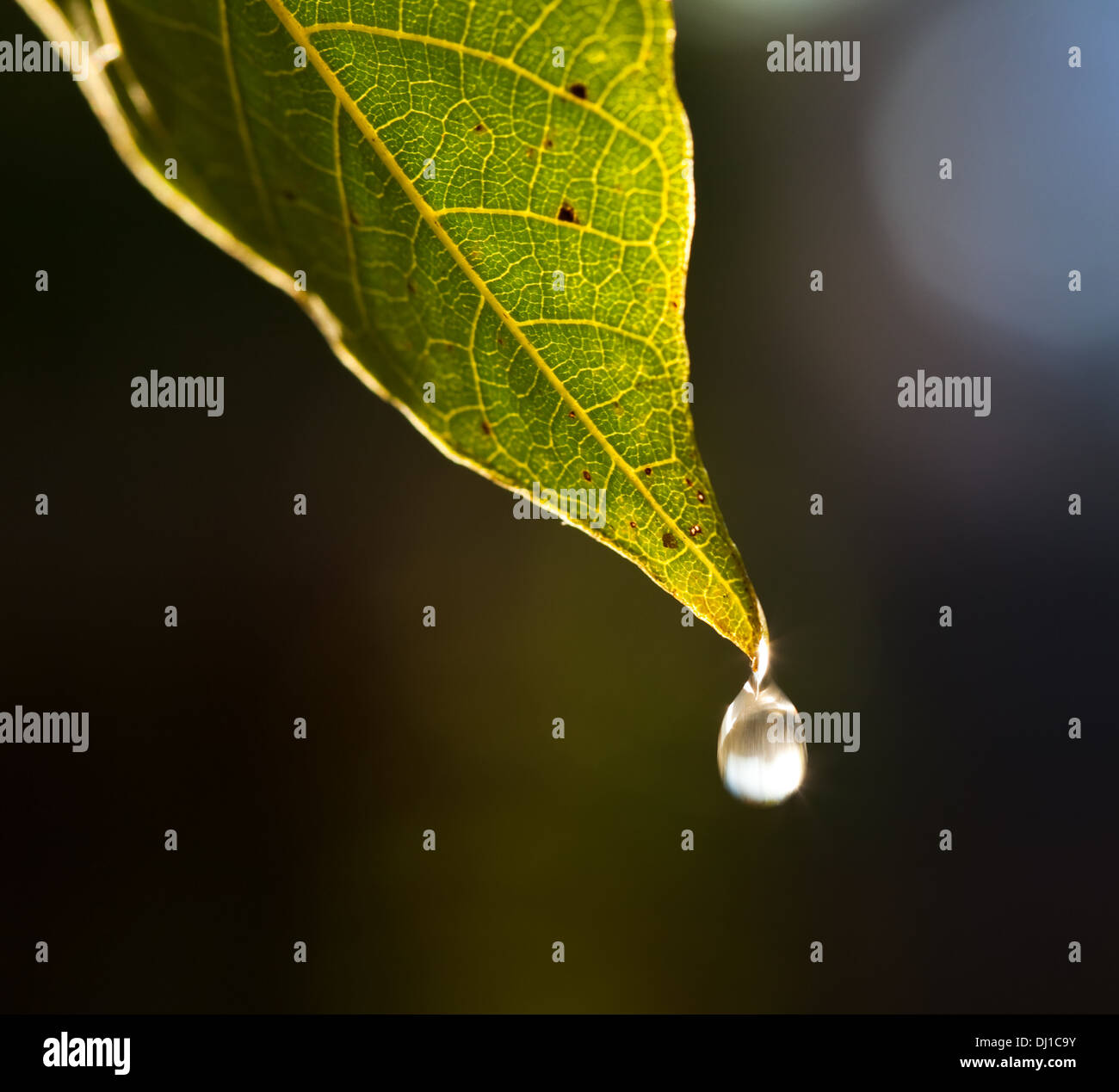 Falling water drop hi-res stock photography and images - Alamy