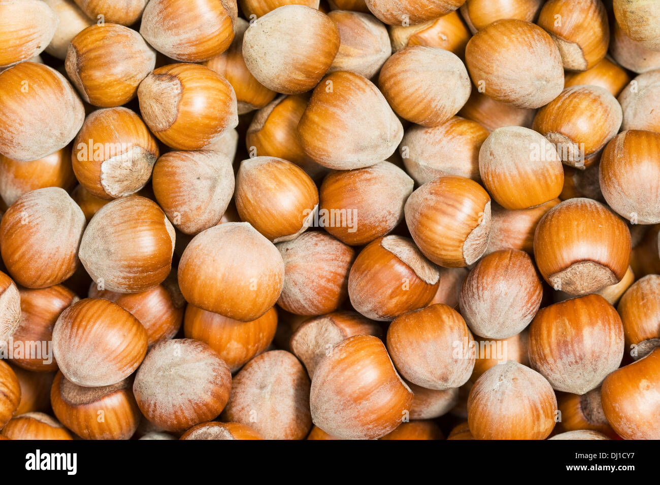 Crunchy hazelnut hi-res stock photography and images - Alamy