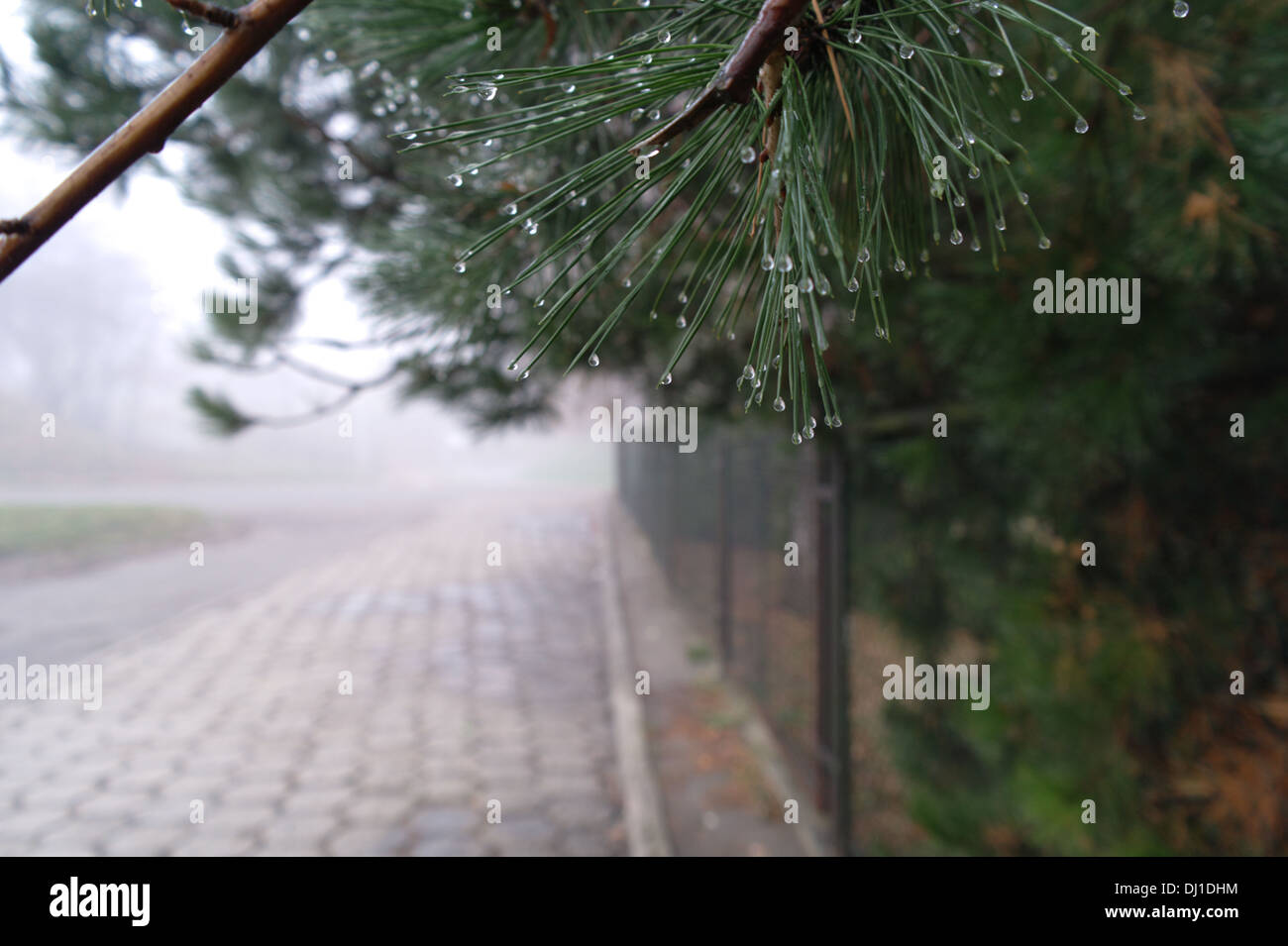 Fog drop hi-res stock photography and images - Alamy