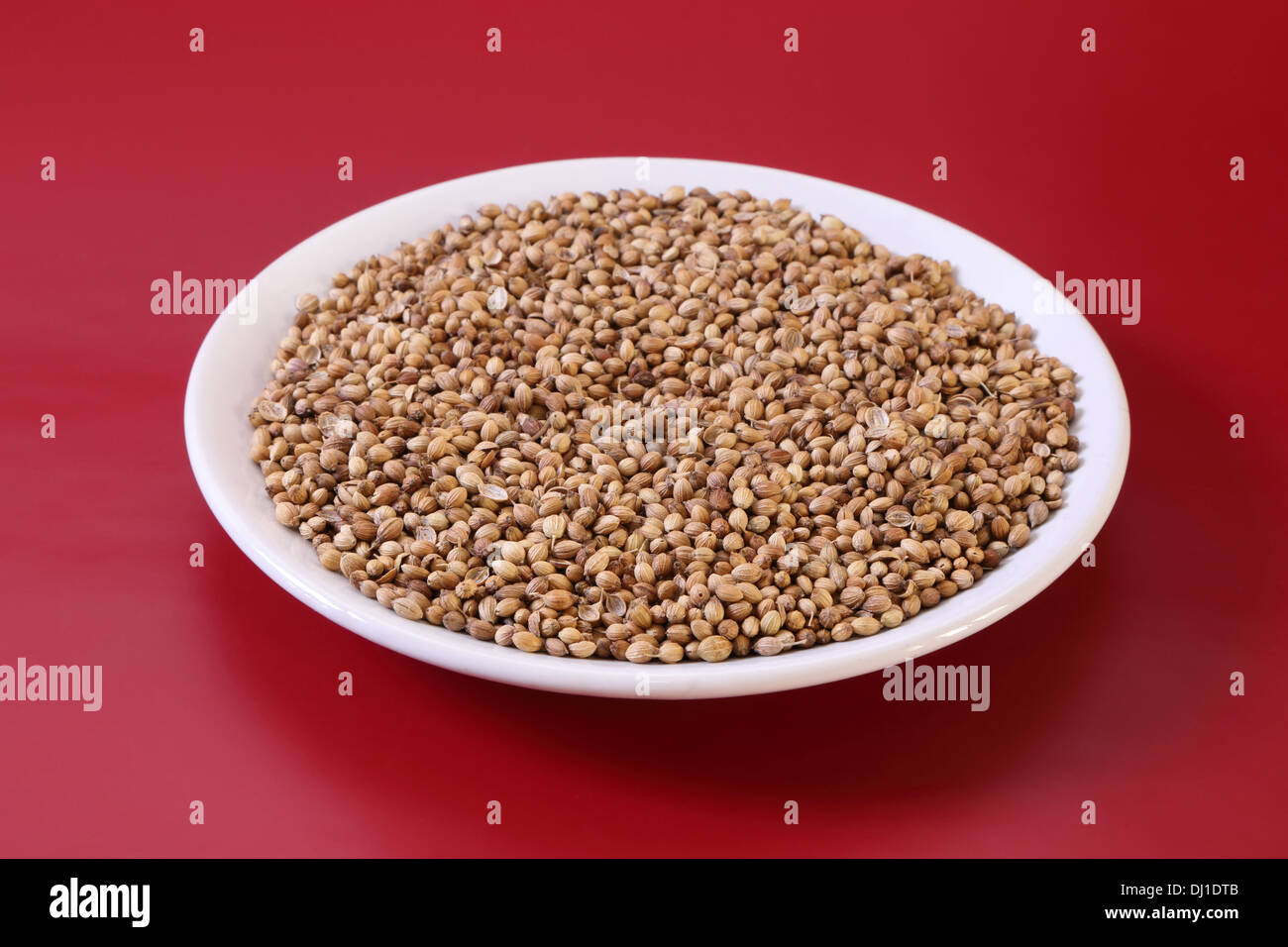 Coriandrum Sativum Seeds High Resolution Stock Photography and Images ...
