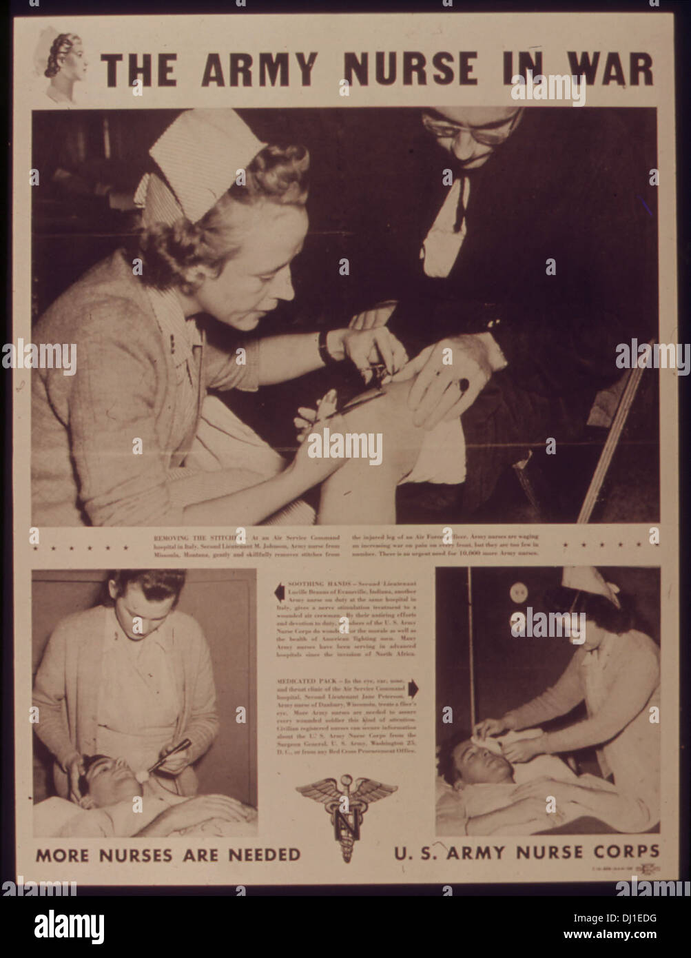 This World War II propaganda poster highlights the crucial role of army ...