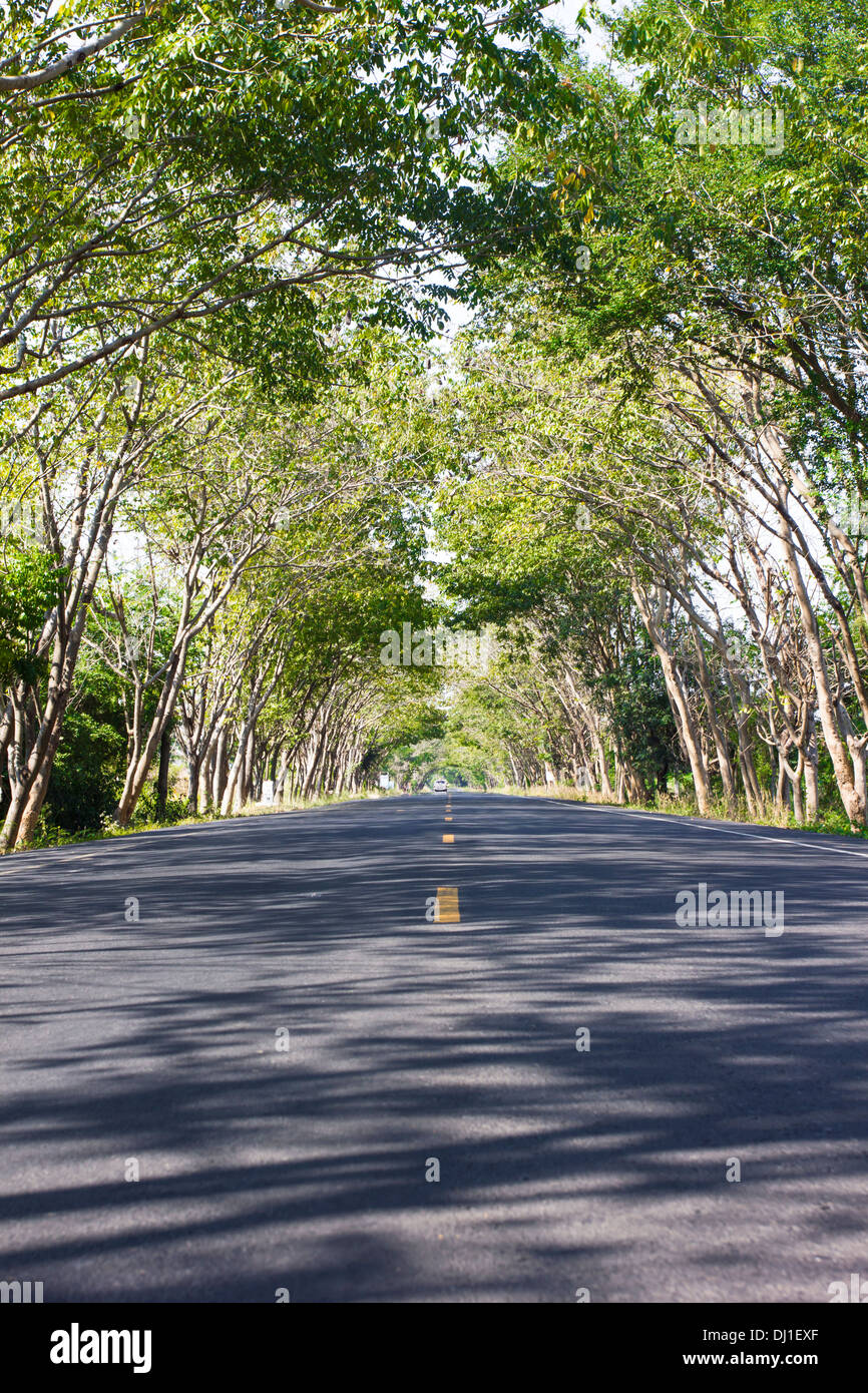 Green between cities hi-res stock photography and images - Alamy