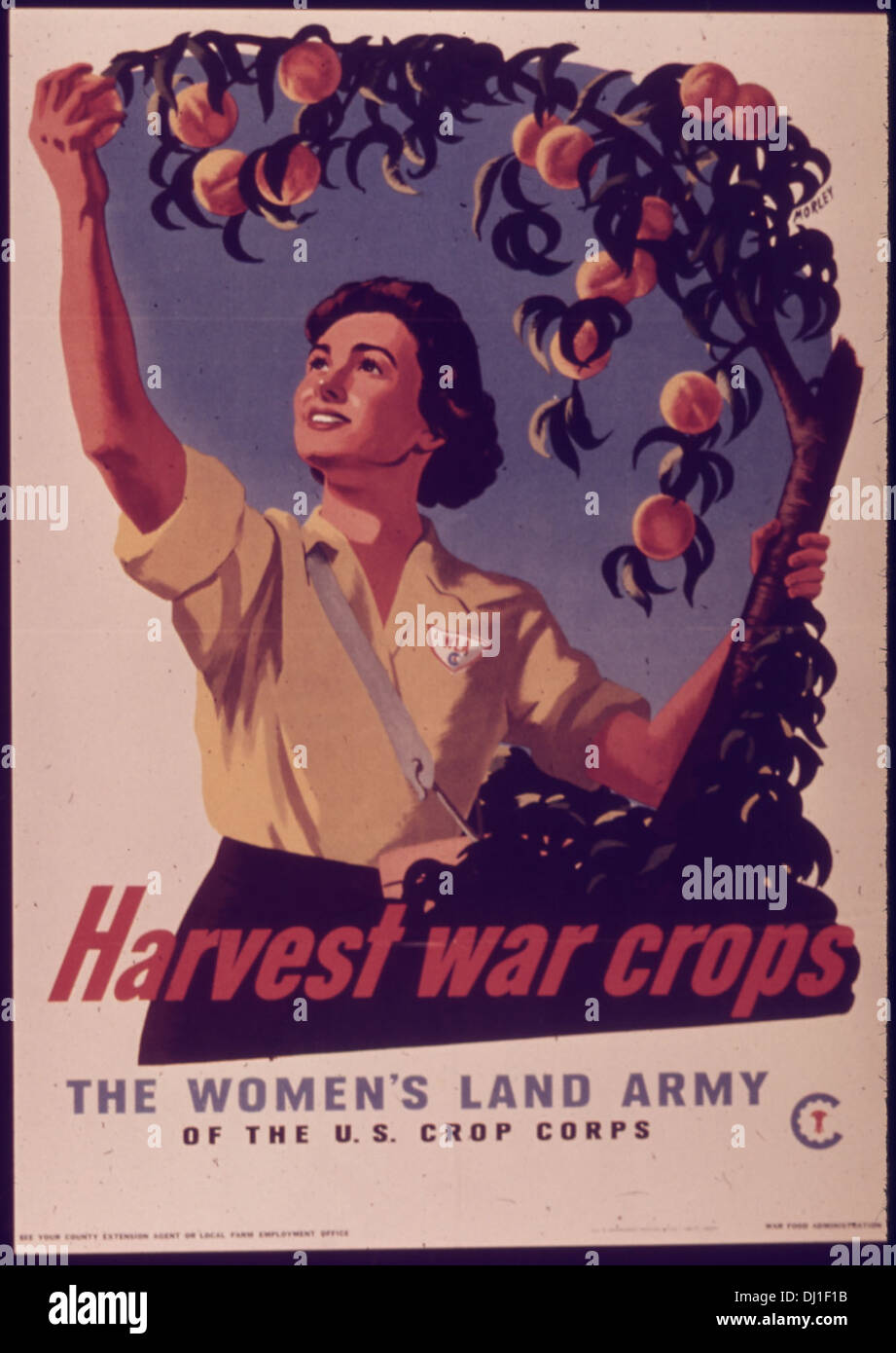 Womens role in propaganda hi-res stock photography and images - Alamy