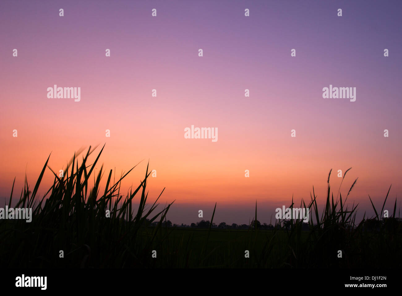 To see sunrise hi-res stock photography and images - Alamy