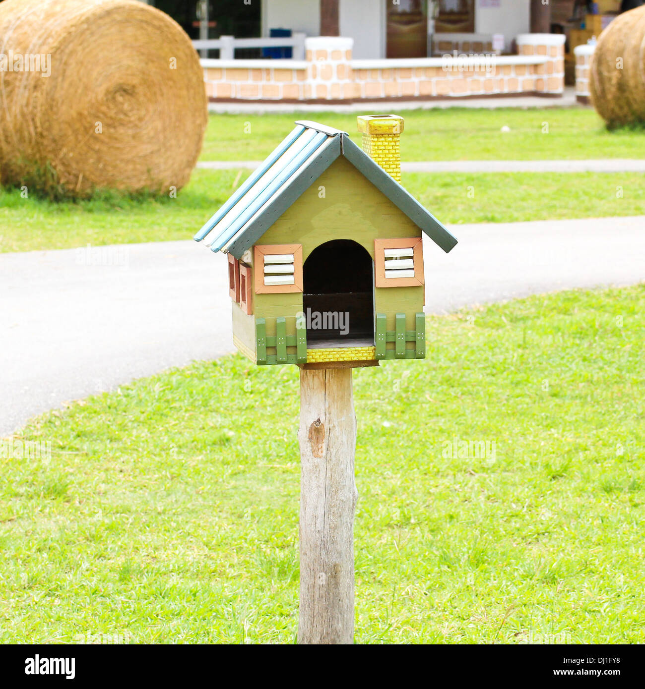 Most beautiful bird hi-res stock photography and images - Alamy