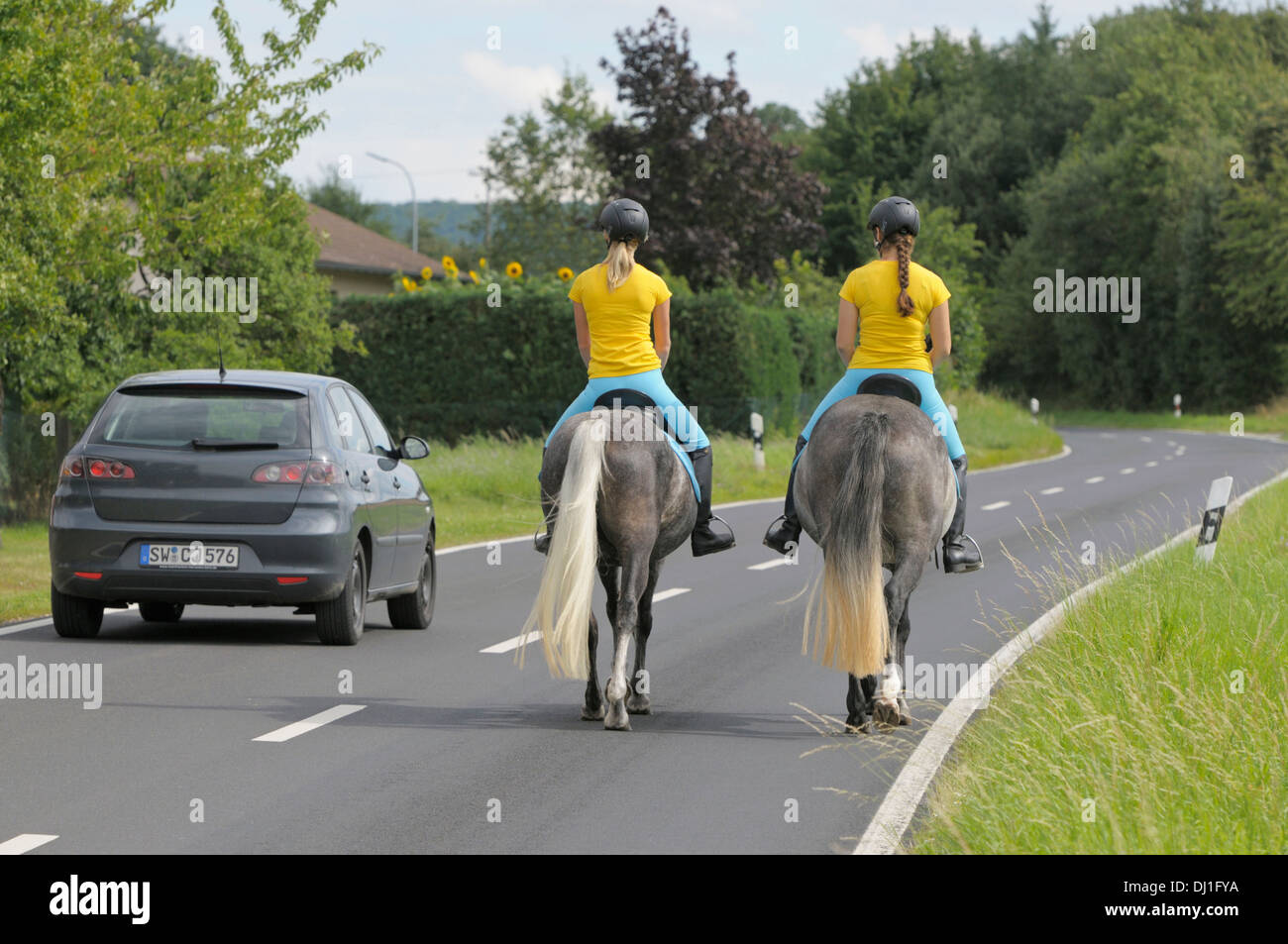 Connemara Pony. wo riders on back of Connemara ponies riding on a road ...