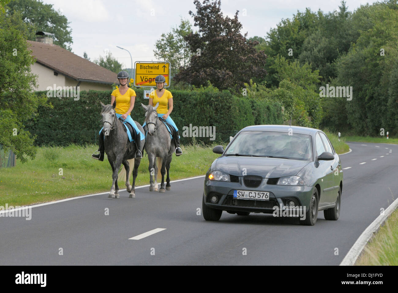 Connemara Pony. wo riders on back of Connemara ponies riding on a road ...
