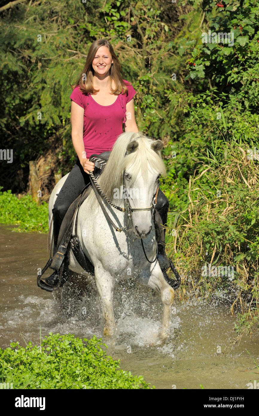 Rider back Paso Fino horse riding water Stock Photo - Alamy