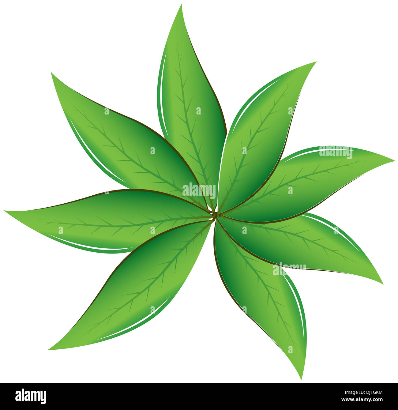 Tea leaves Vector illustration Stock Photo - Alamy