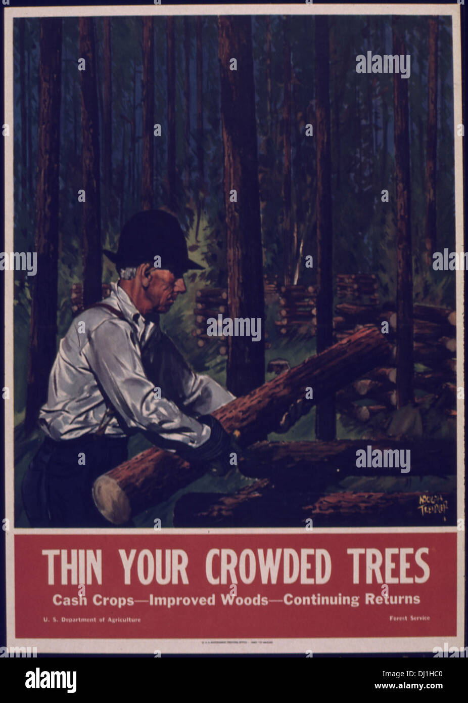 A World War II propaganda poster promoting the importance of thinning ...