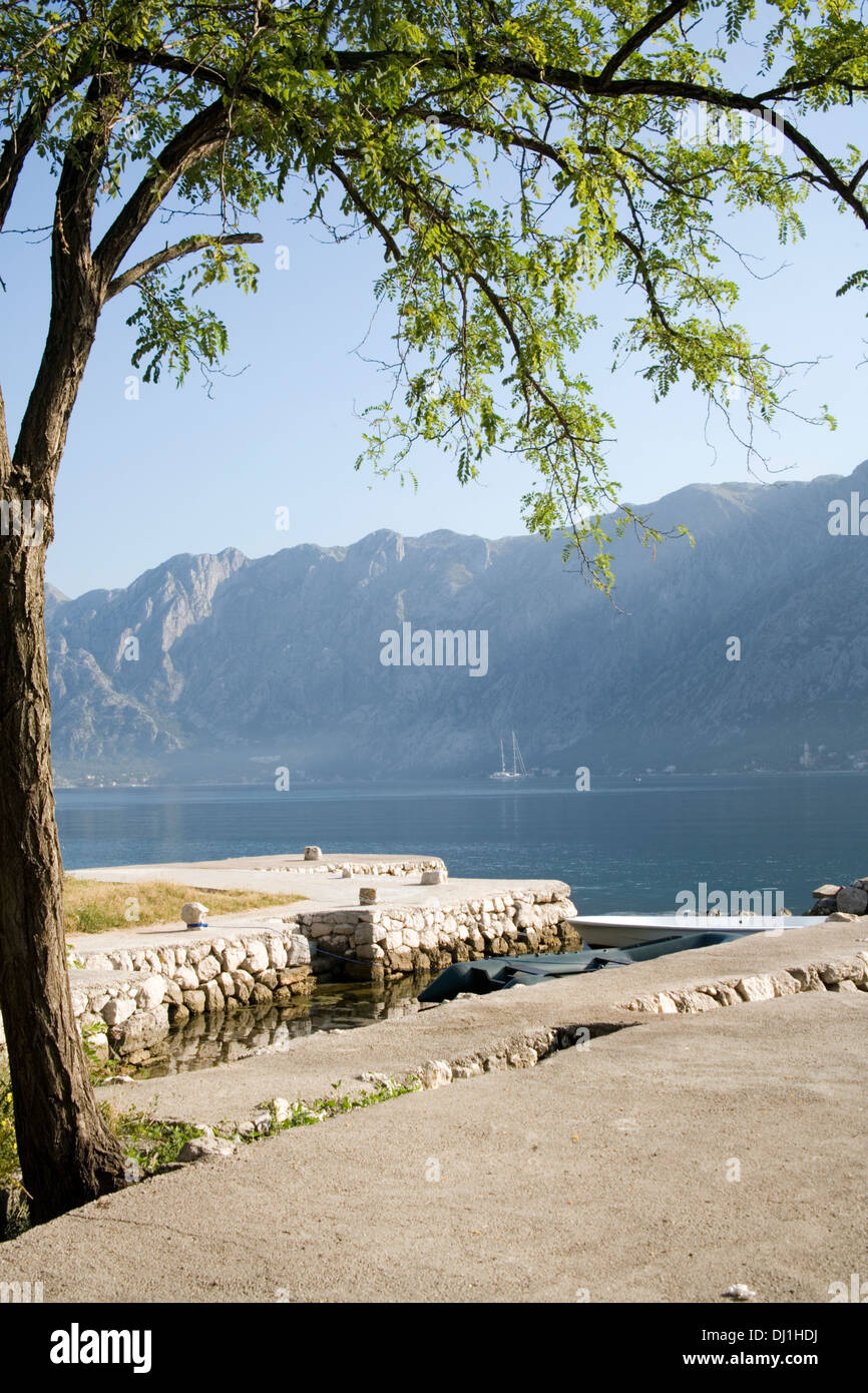 Tree framing harbour by calm sea in mountains Stock Photo - Alamy