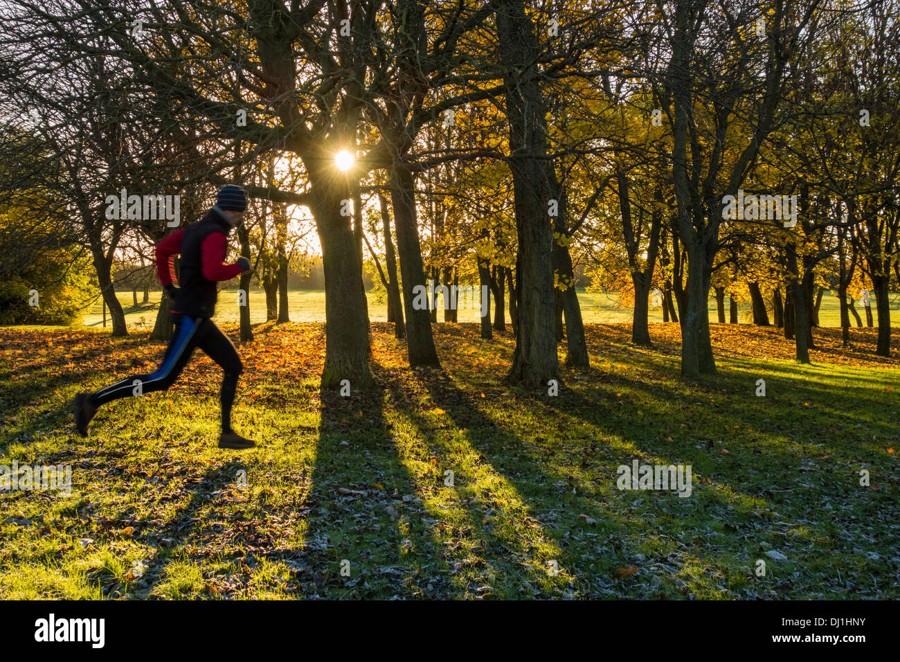 Man running through trees with frost on grass. England, UK Stock Photo - Alamy