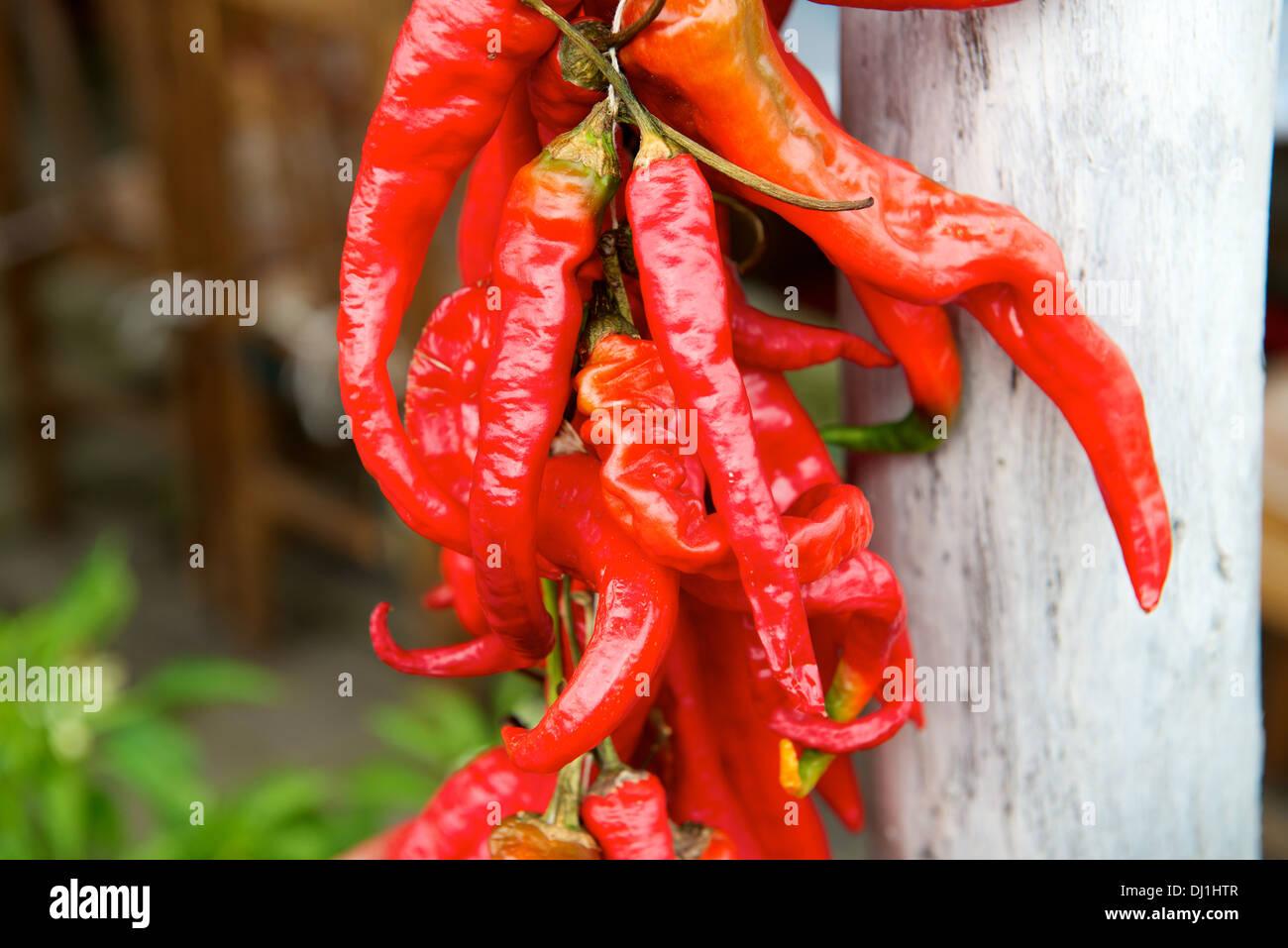 Pepper bunch hi-res stock photography and images - Alamy
