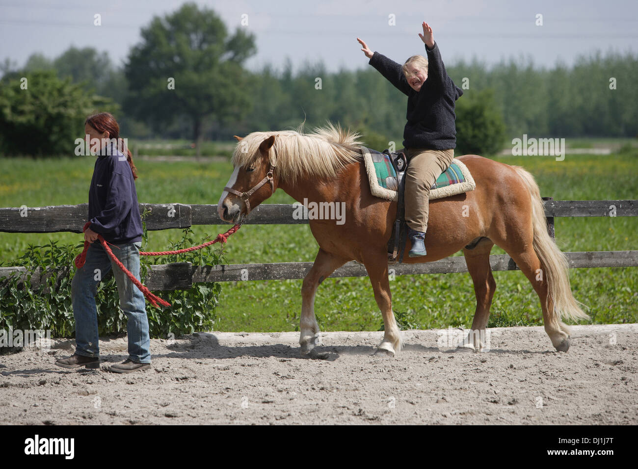 Therapeutic horseback riding on a Haflinger Horse Stock Photo - Alamy