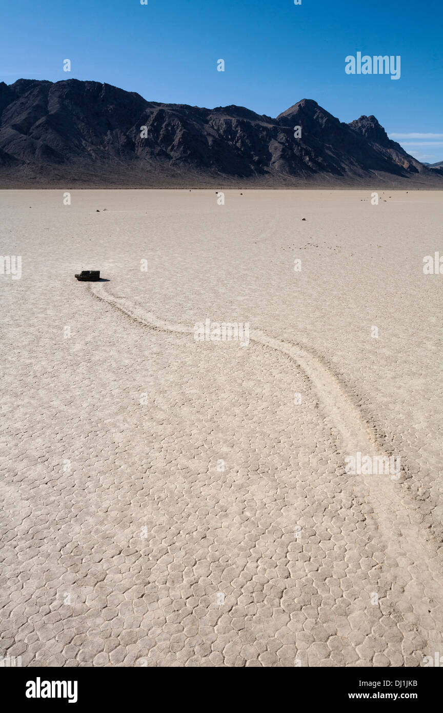 Meandering track created by one of the mysterious moving rocks at the ...