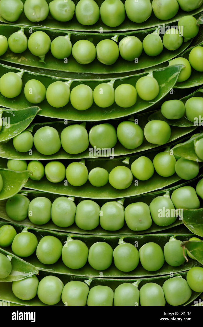 Green peas background Stock Photo - Alamy