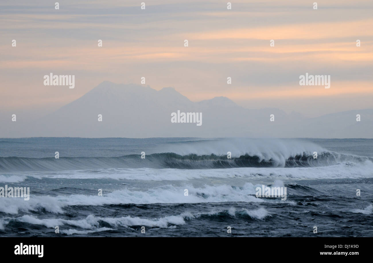Zapovednik hi-res stock photography and images - Alamy