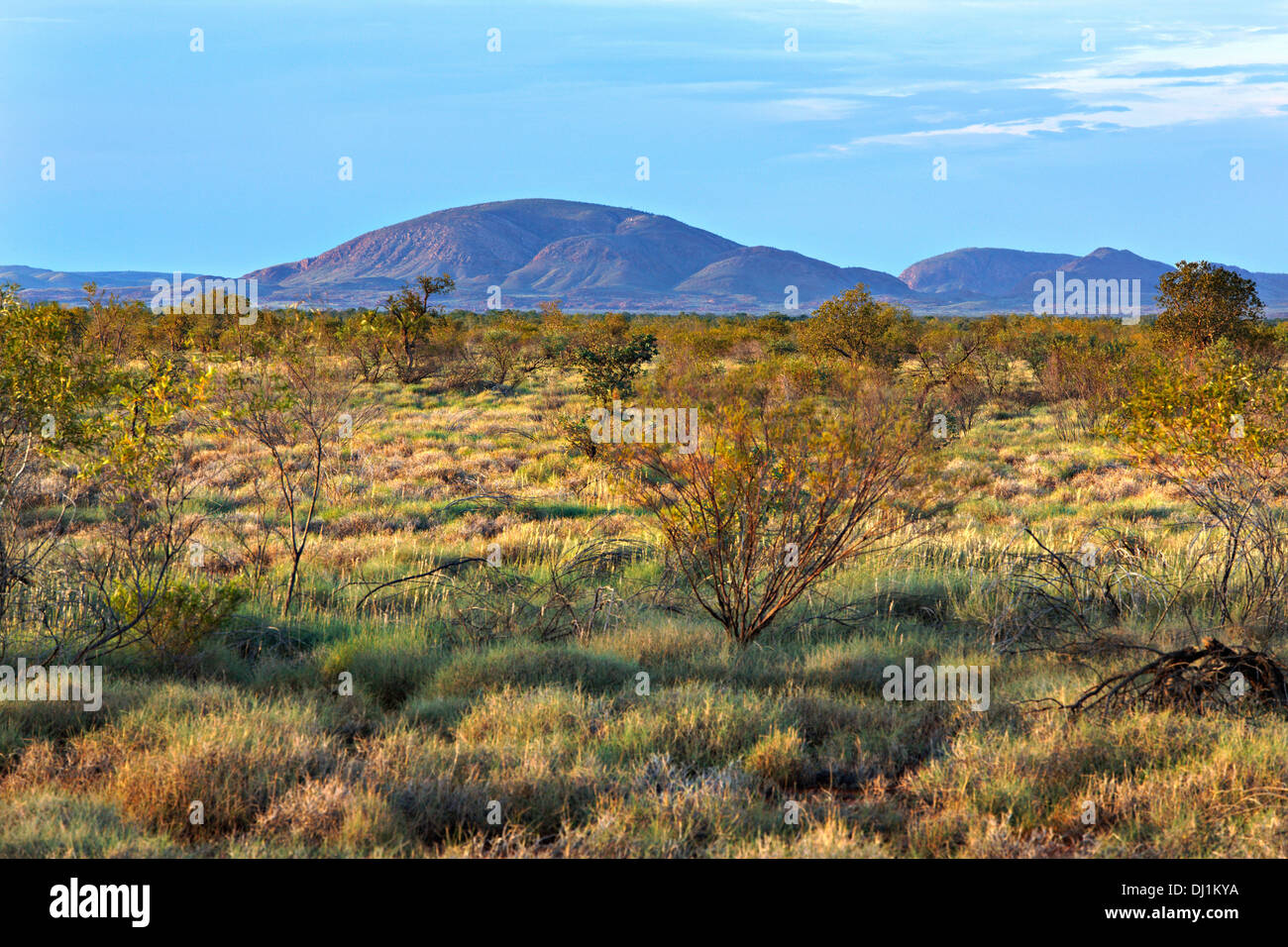 Australian outback landscape, Pilbara Western Australia Stock Photo - Alamy
