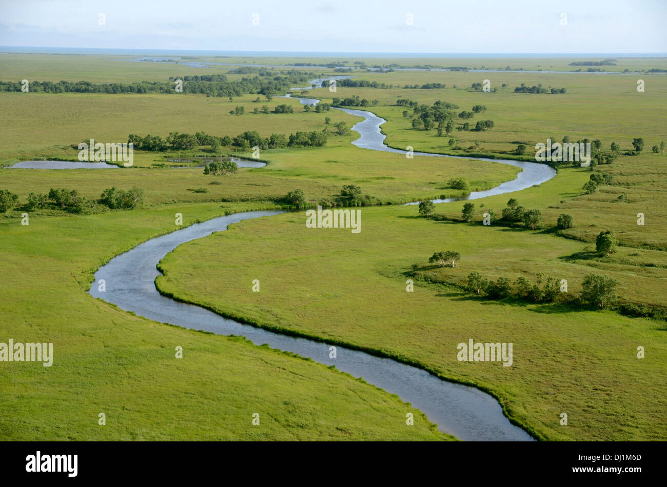 Zapovednik hi-res stock photography and images - Alamy