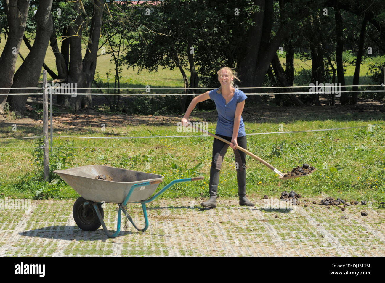 Mucking out paddock hi-res stock photography and images - Alamy