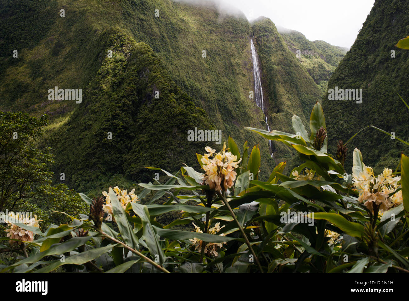 BLANCHE CASCADE, the most famous waterfall in Reunion Island .. This ...