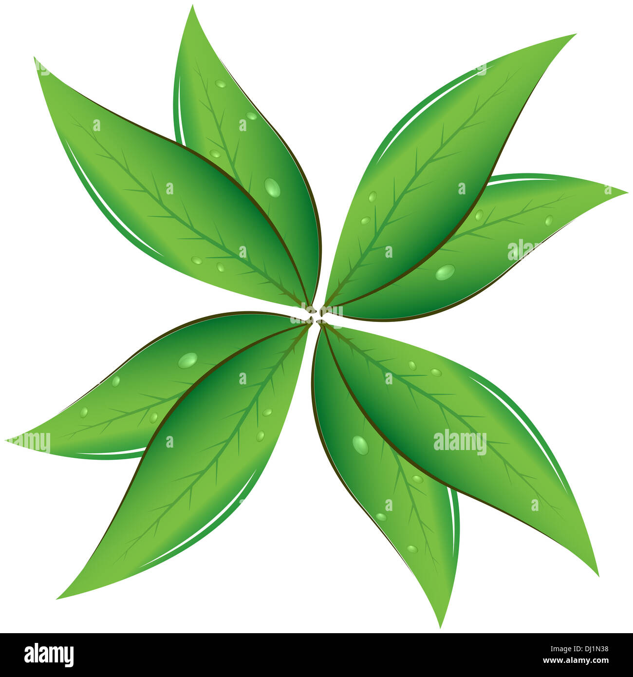 Sapling tea hi-res stock photography and images - Alamy