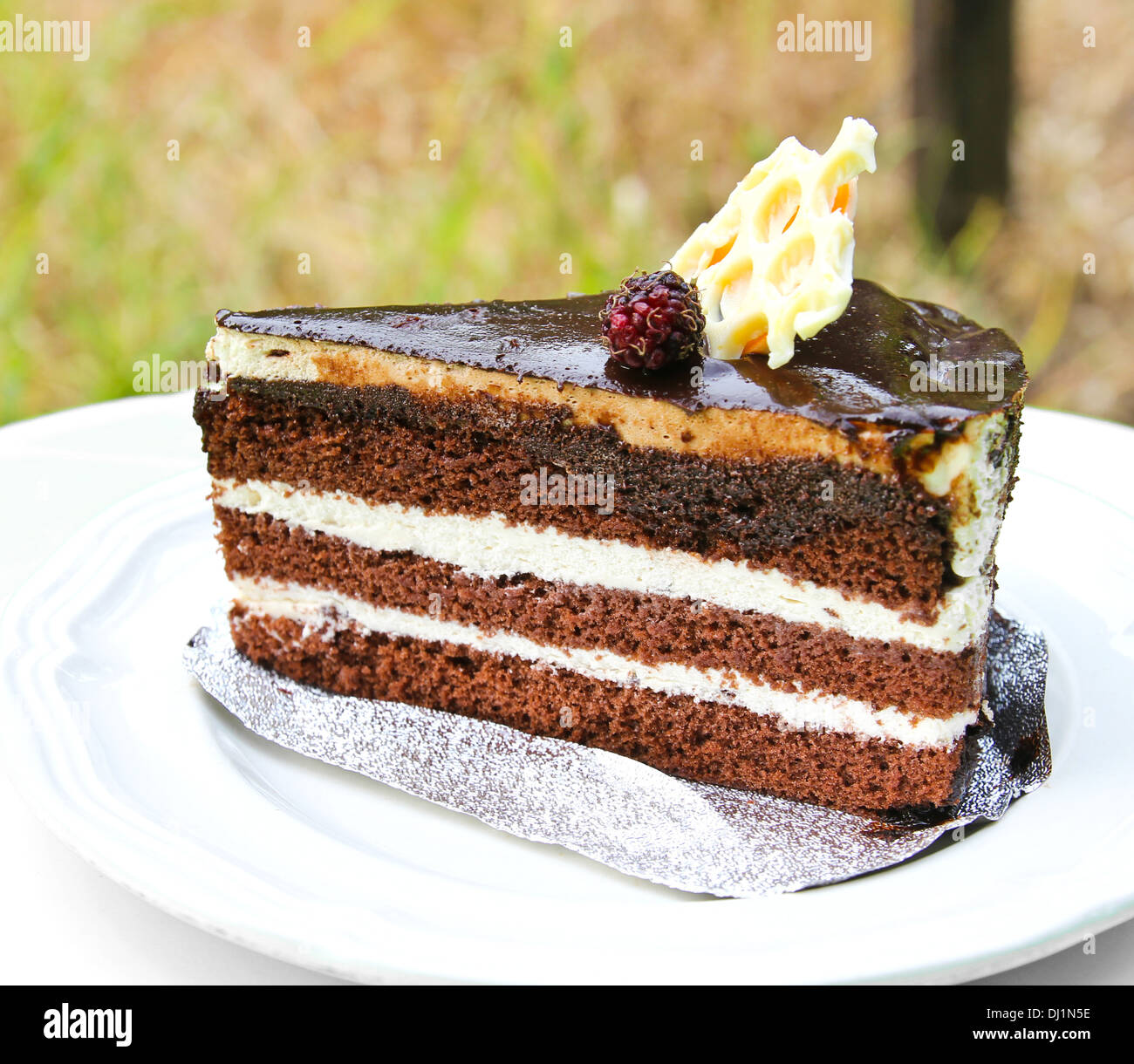 Gateaux cake slice cream hi-res stock photography and images - Alamy