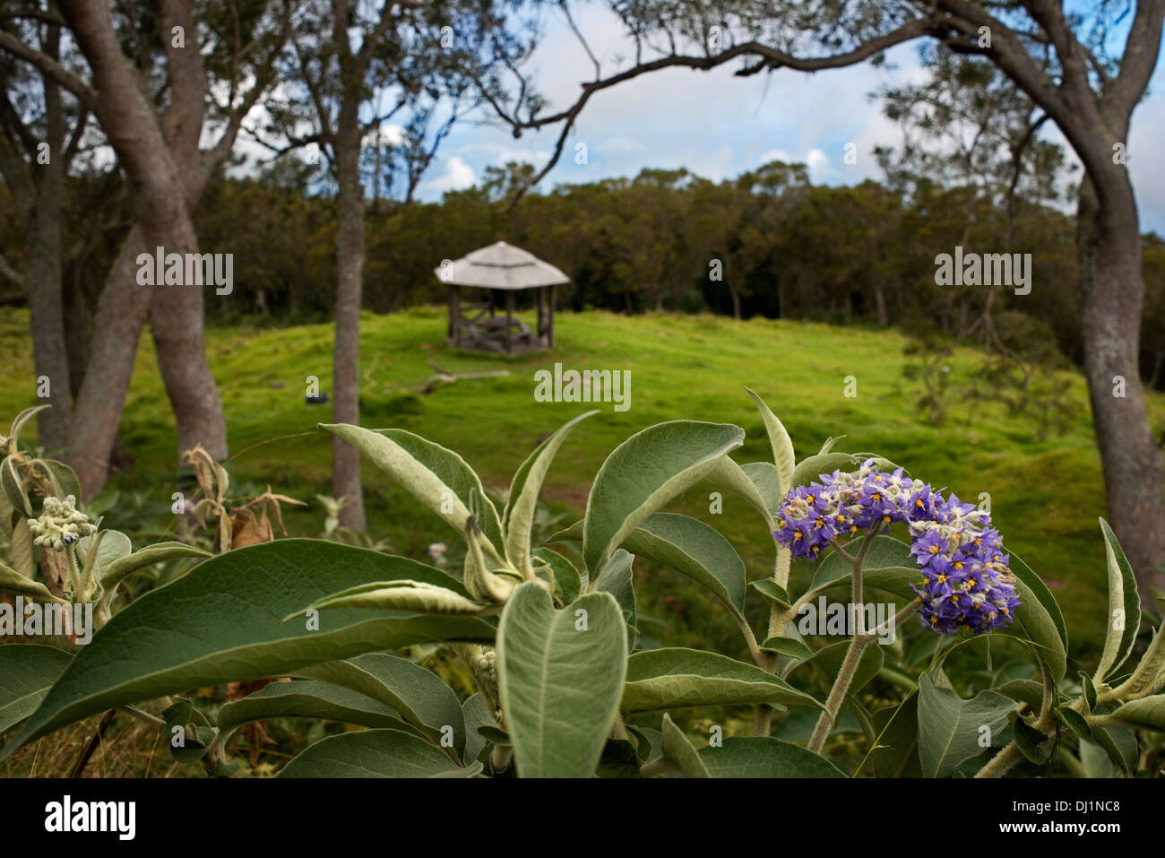 Reunion island highest point hi-res stock photography and images - Alamy