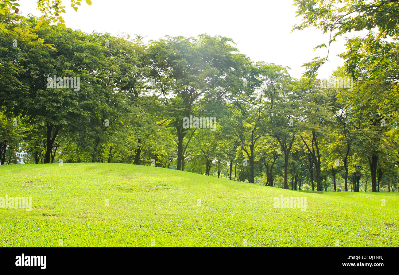 Clean city green city hi-res stock photography and images - Alamy