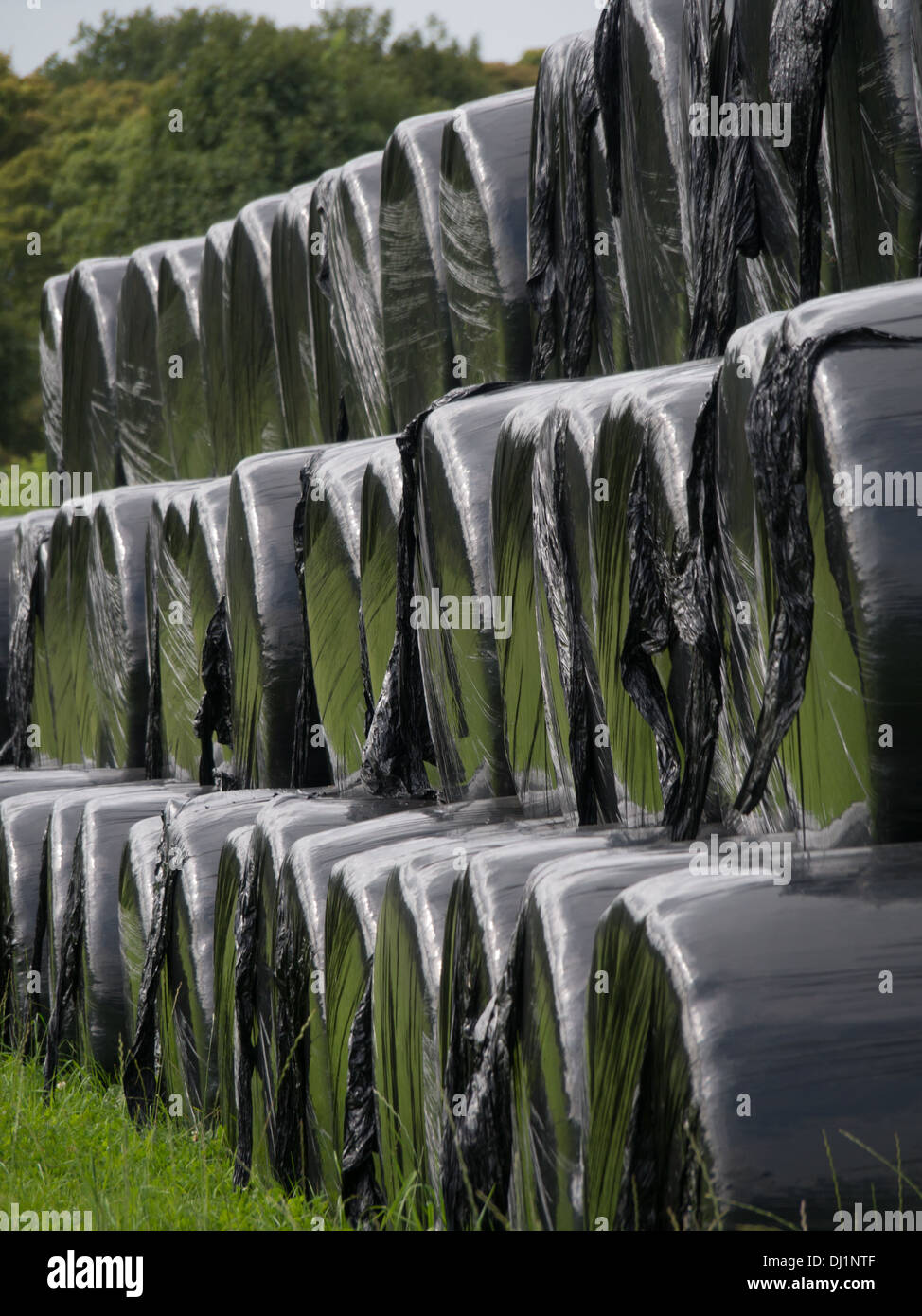 Black plastic bale wrap hi-res stock photography and images - Alamy