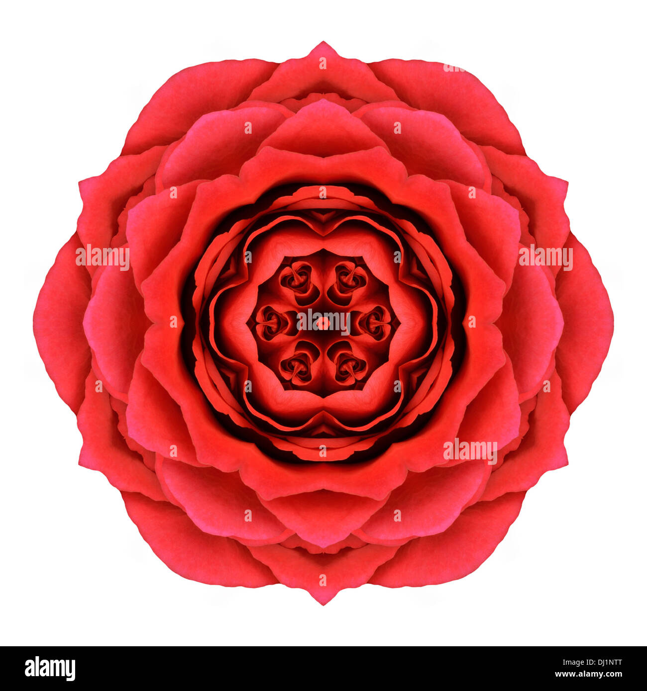 Geometric red rose pattern Cut Out Stock Images & Pictures - Alamy