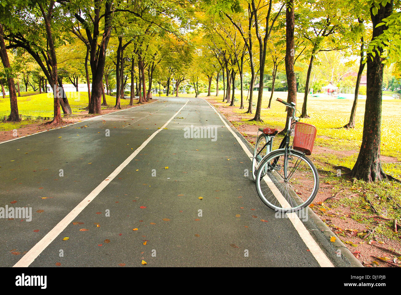 Pave path hi-res stock photography and images - Alamy