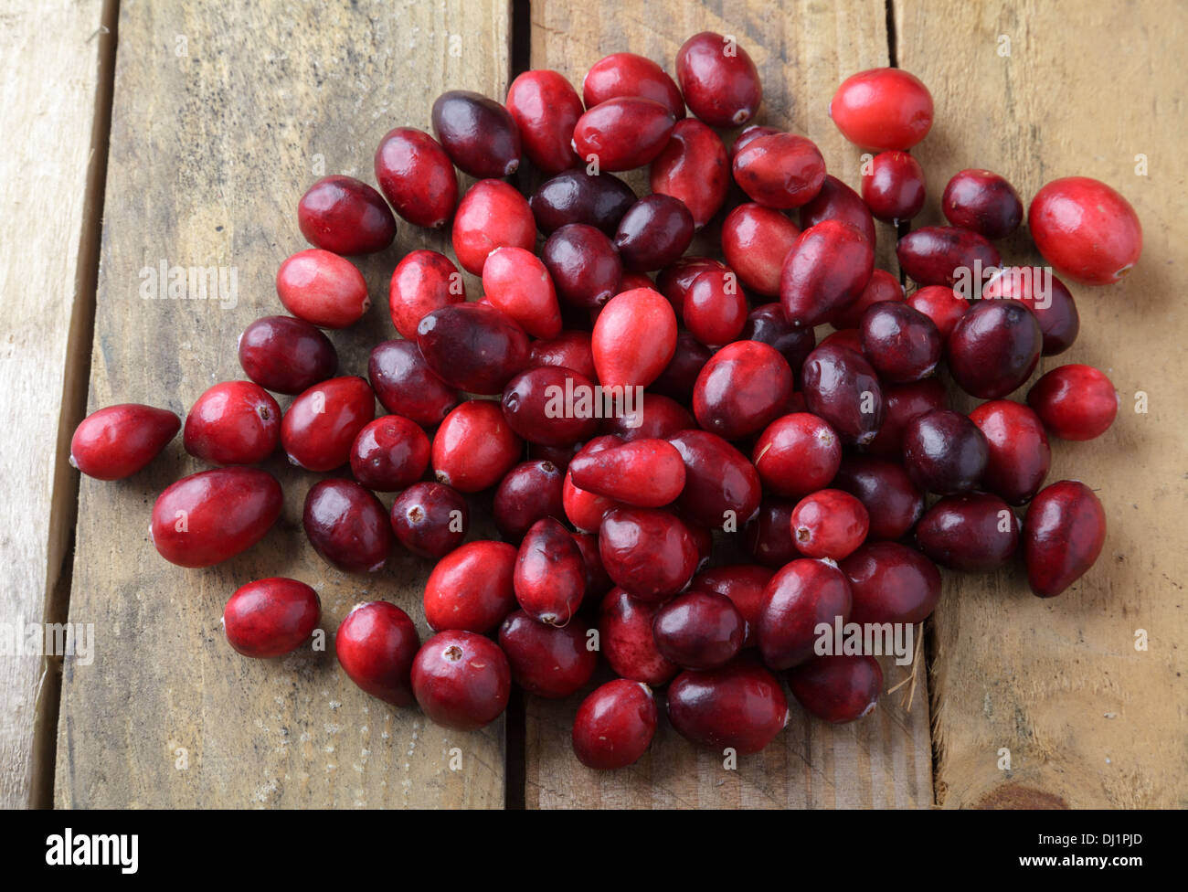 Cranberries hi-res stock photography and images - Alamy