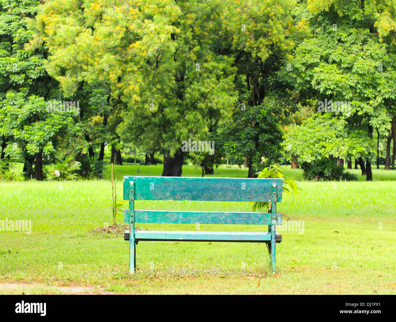 Old park bench tree summer hi-res stock photography and images - Alamy