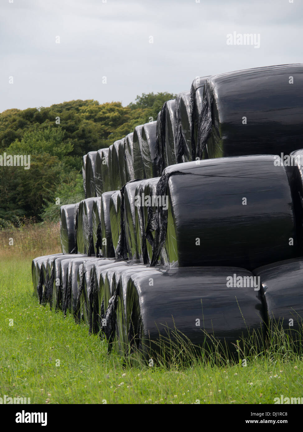 Black plastic bale wrap hi-res stock photography and images - Alamy