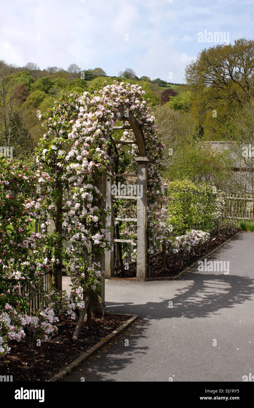 Apple tree picturesque garden hi-res stock photography and images - Alamy