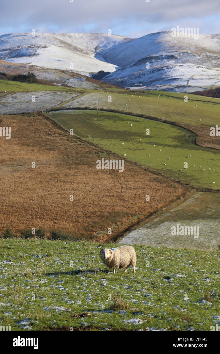 Pumlumon wales hi-res stock photography and images - Alamy