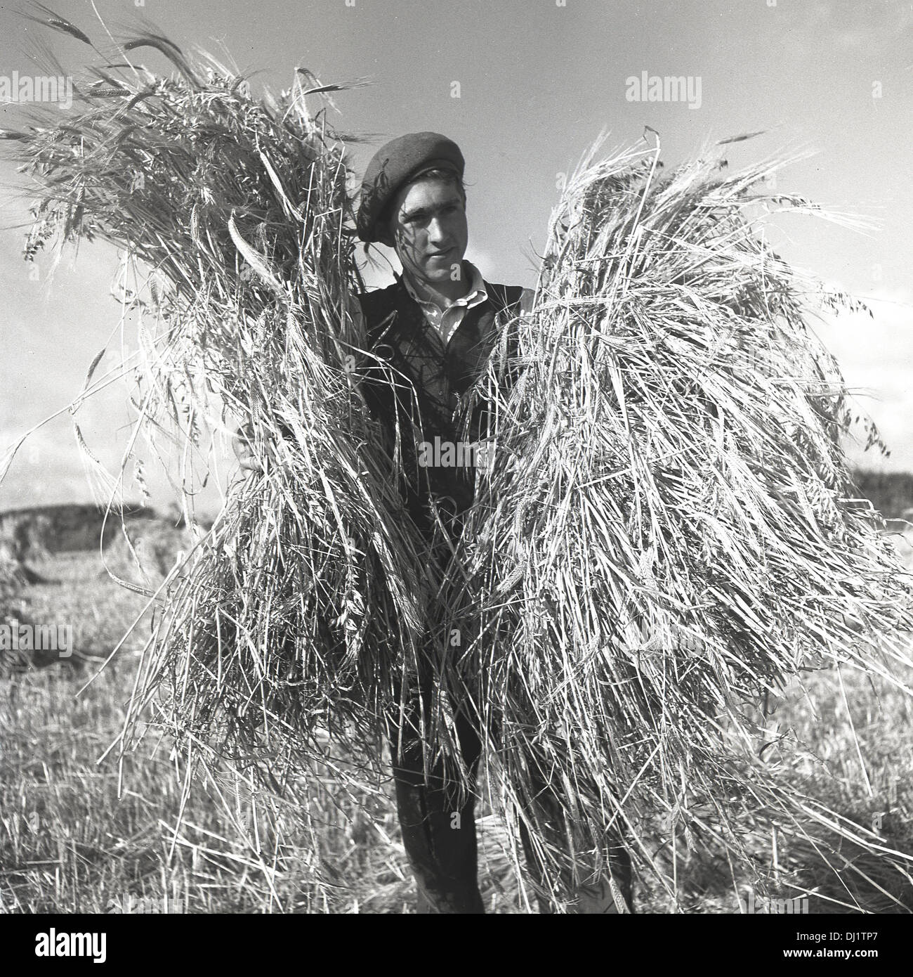 1950s historical male farm in hi-res stock photography and images - Alamy