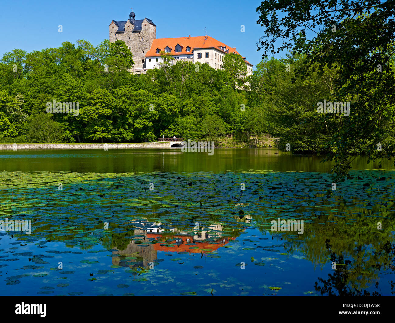 Pond with Ballenstedt Castle, Saxony-Anhalt, Germany Stock Photo - Alamy