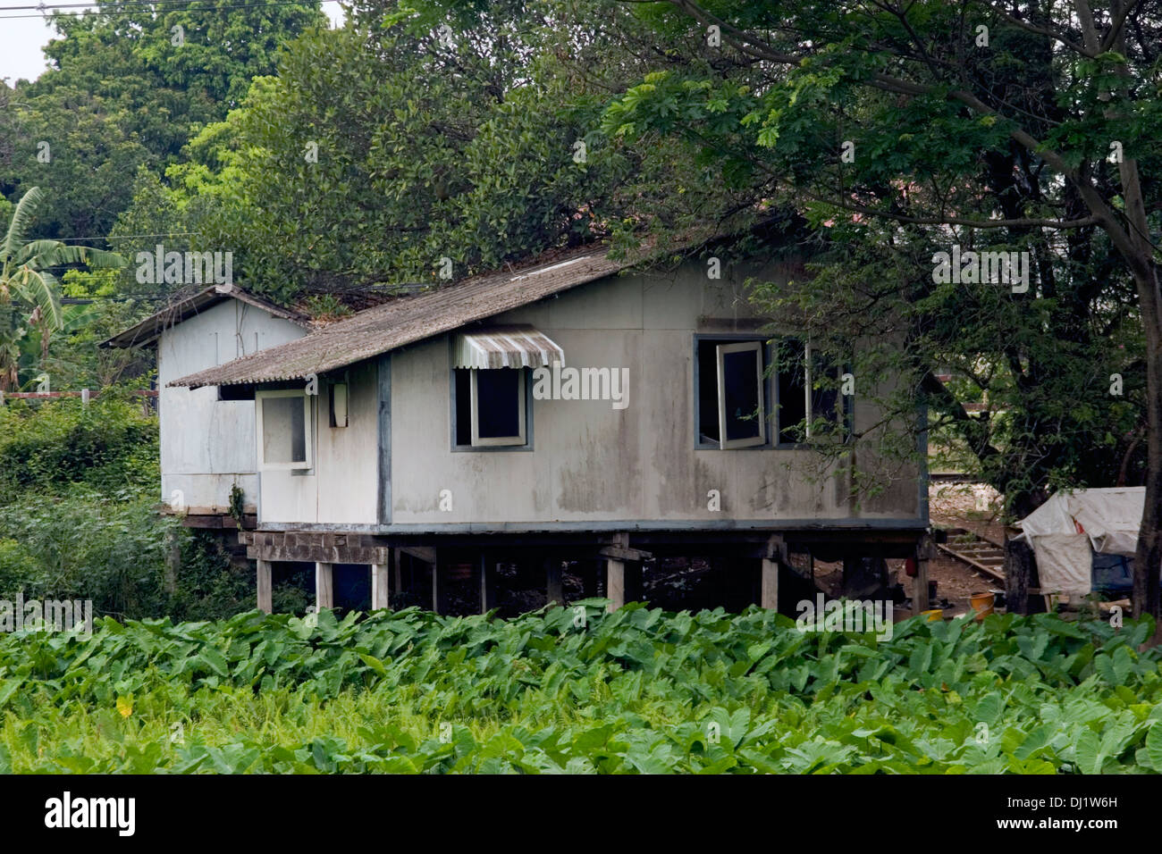 Stilted farm house hi-res stock photography and images - Alamy