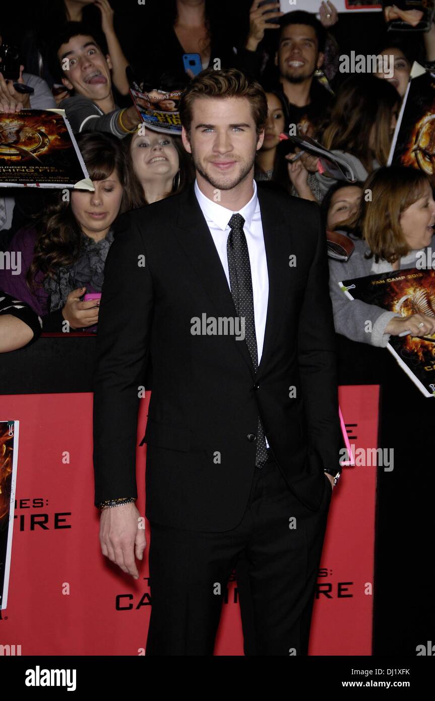 Los Angeles, CA, USA. 18th Nov, 2013. Liam Hemsworth at arrivals for ...