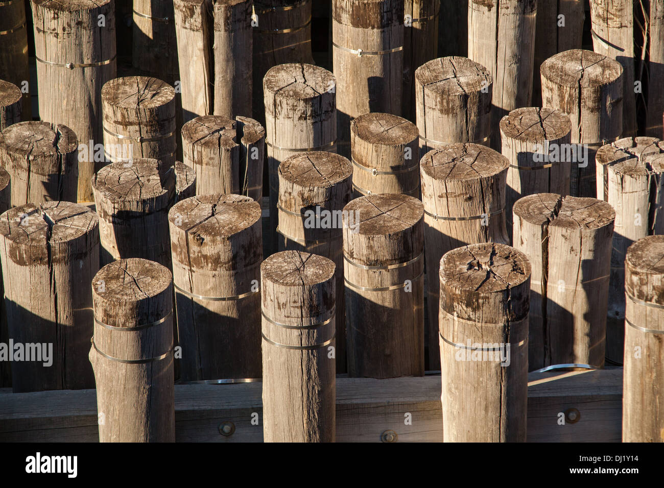 Wooden jetty pilings at St. George Ferry Terminal in Staten Island, New ...