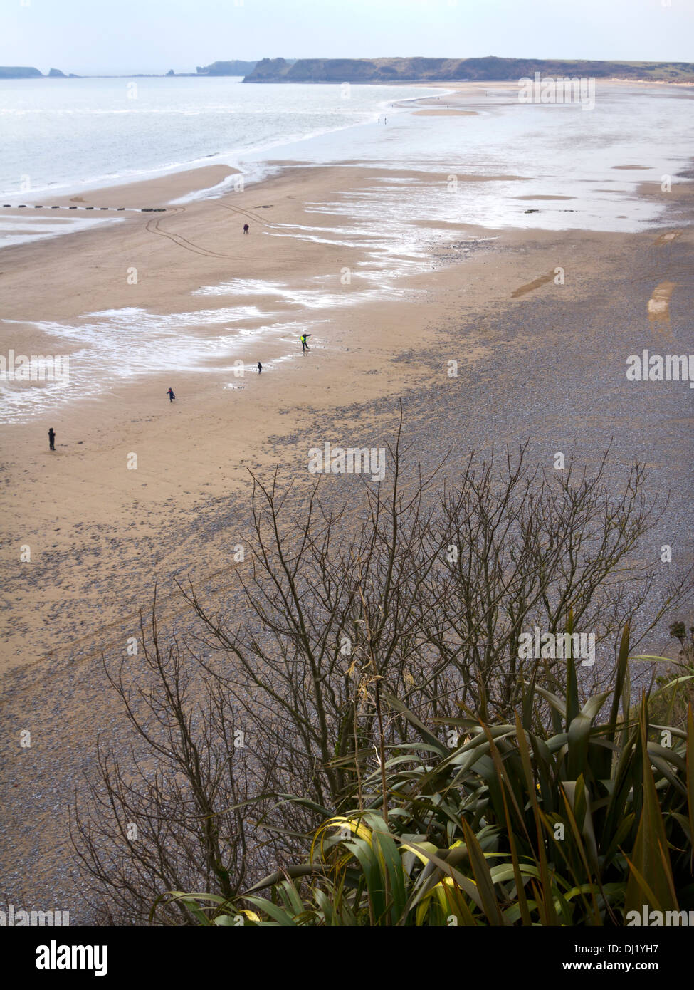 Tenby pembrokeshire coast hi-res stock photography and images - Alamy