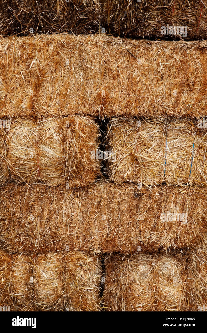 Stack freshly cut hay hi-res stock photography and images - Alamy