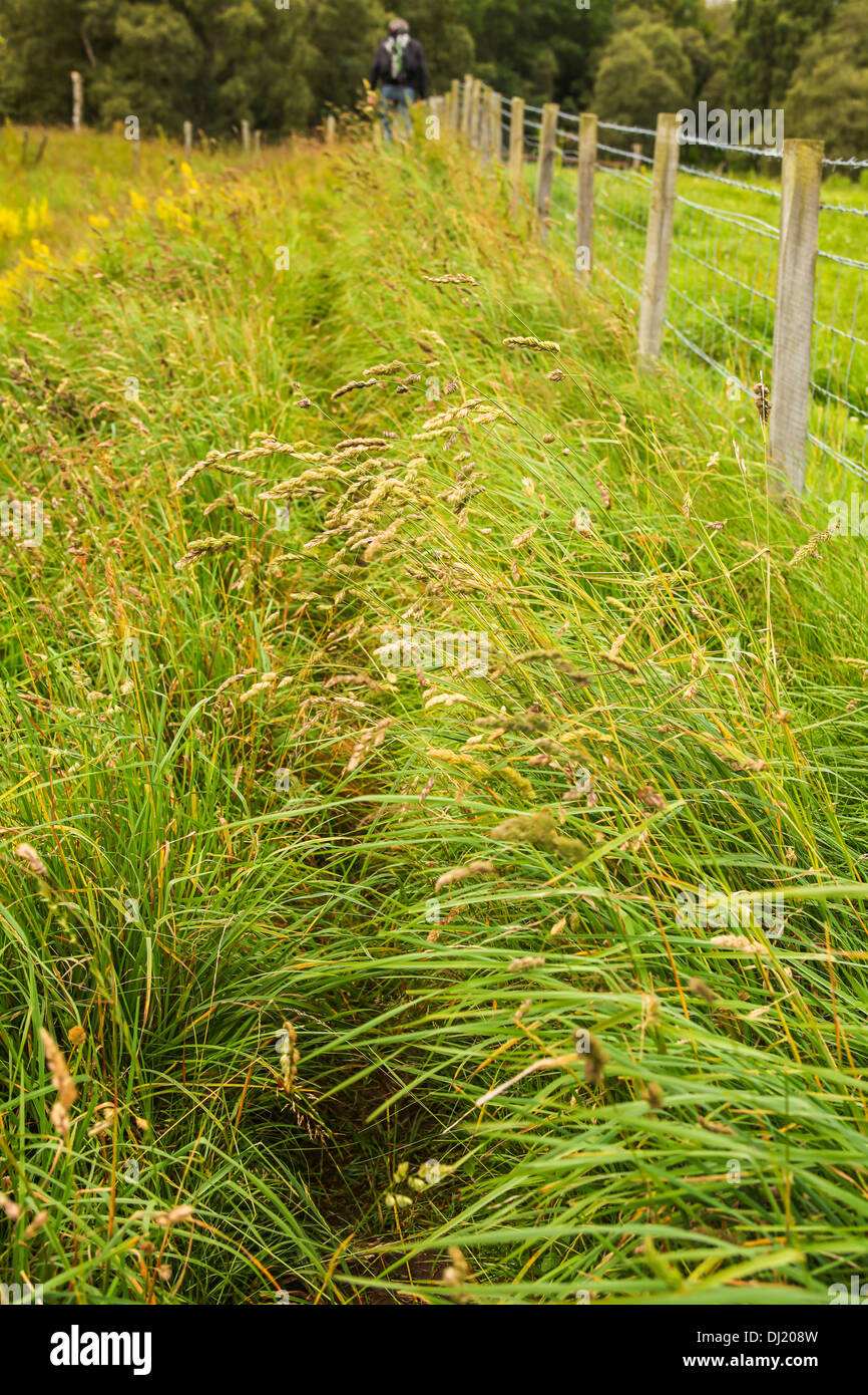 Summer in scotland hi-res stock photography and images - Alamy